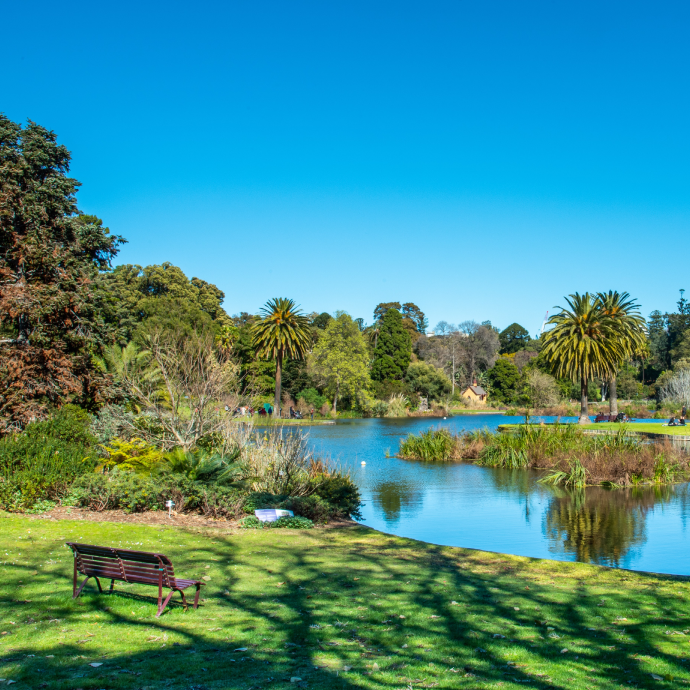 Melbourne picnic spots: How to host the best picnic this summer! – Dineamic